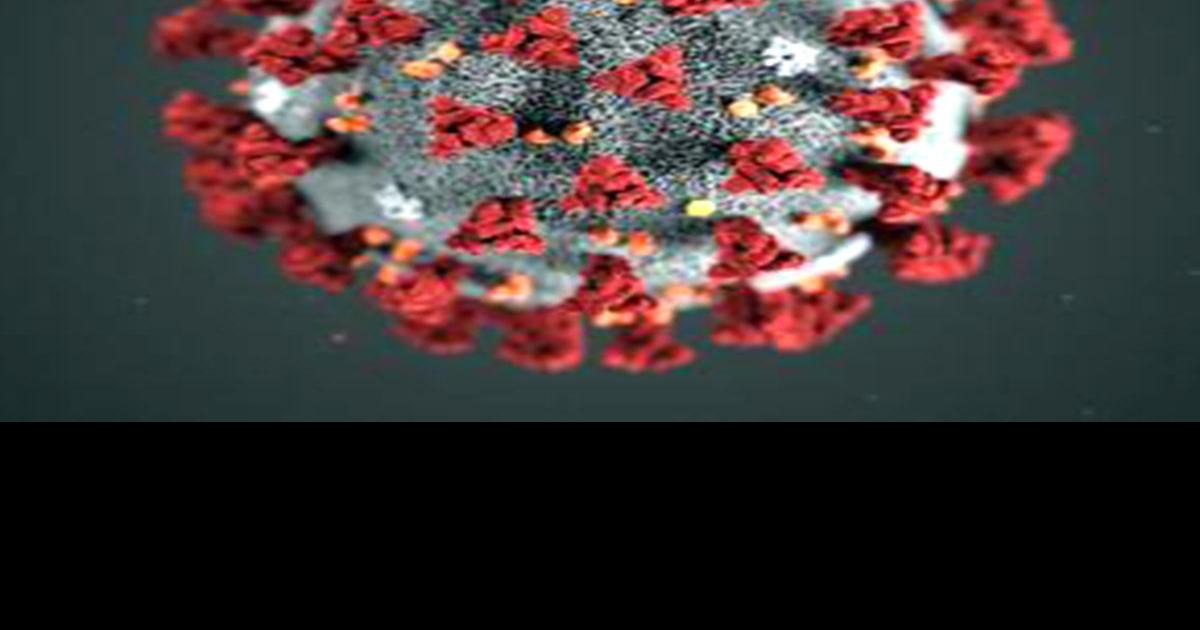 Mercer hits 50 deaths from virus pandemic | News | ptonline.net