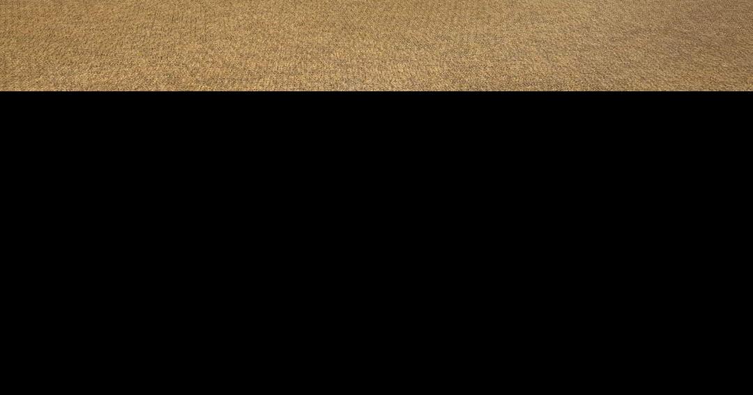 Daugherty family raises 2K for Richland Pulaski County Library | News ...