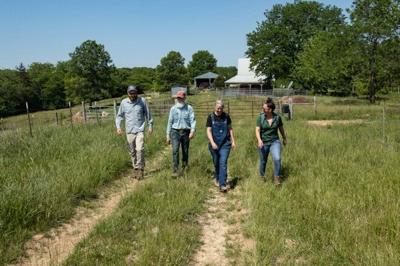 New pilot app supports Missouri farmers’ participation in climate-smart ...