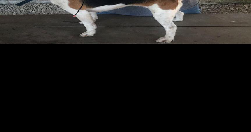 Kenneth Sibert | Obituaries & Death Notices | pulaskicountyweekly.com