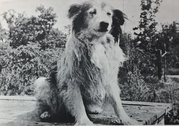 The unsolved mystery of Buck Nelson: What happened to the Ozarks' first ...