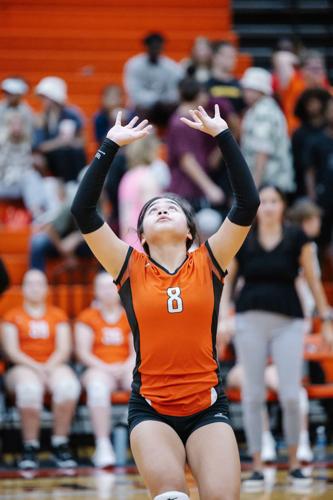 VOLLEYBALL: Lady Tigers end regular season; host district next | Sports ...
