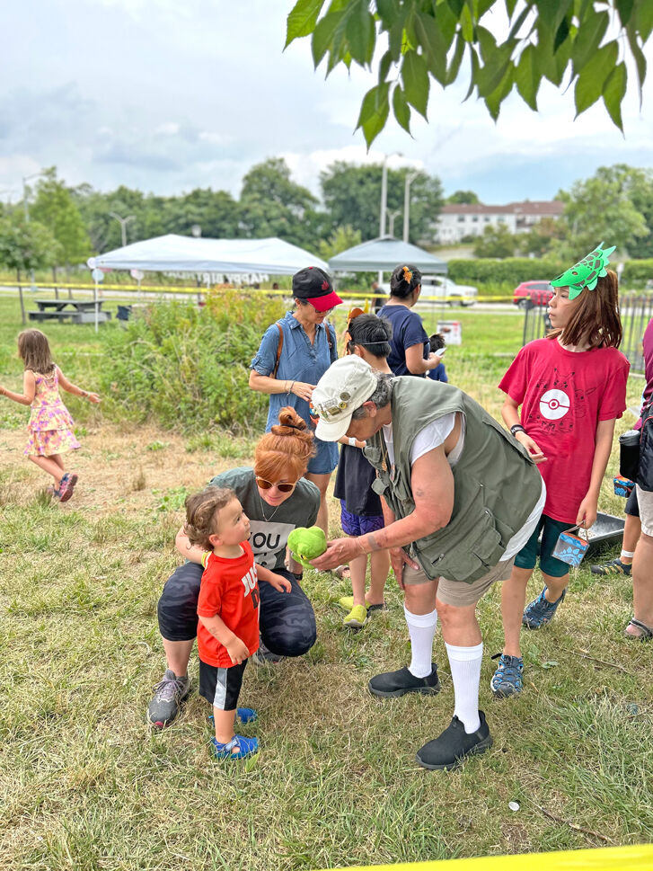 Dinosaur fun at FMCP | | qchron.com