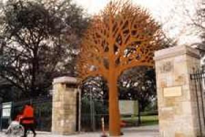 A Tree Grows In Flushing | | qchron.com