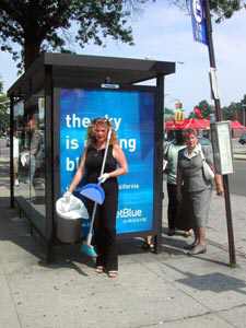Sanitation Dept. Called To Task For Not Cleaning Bus Stops | | qchron.com