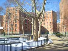 Drug and gun bust at Queensbridge Houses | | qchron.com