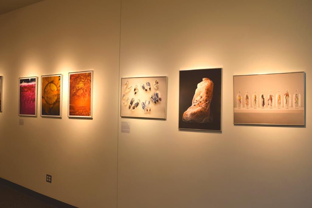 Environmental exhibit bridges art and science | | qchron.com