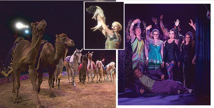 Big Apple Circus transforms Cunningham Park into a whimsical wonderland ...