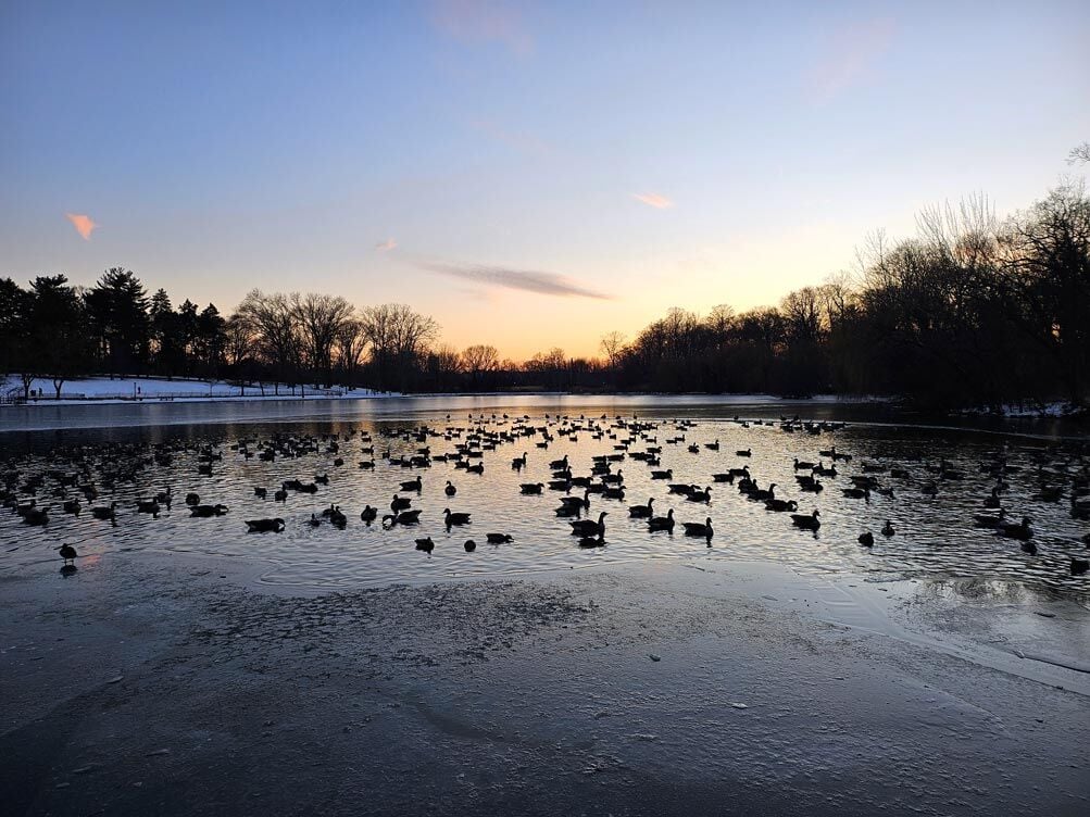 Holiday photo contest! | | qchron.com