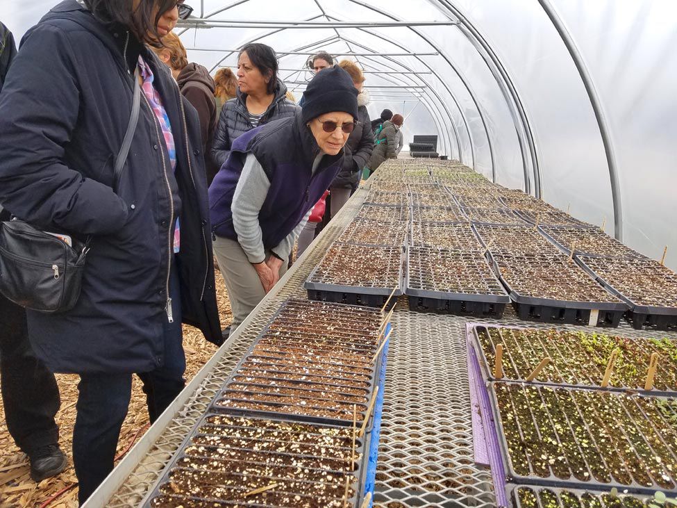 NATURAL ED | | qchron.com