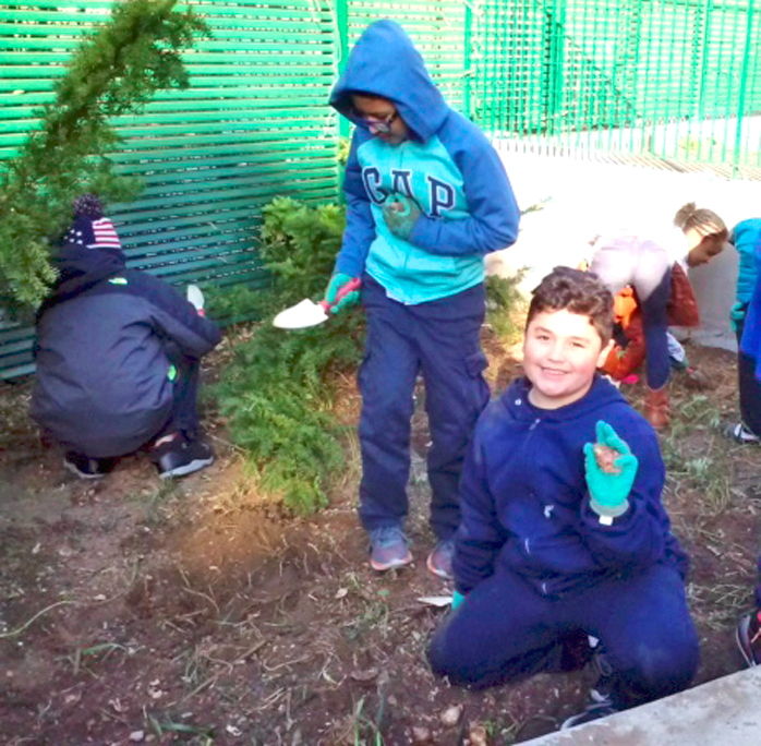 Learning and having fun at PS 97Q in Forest Park | | qchron.com
