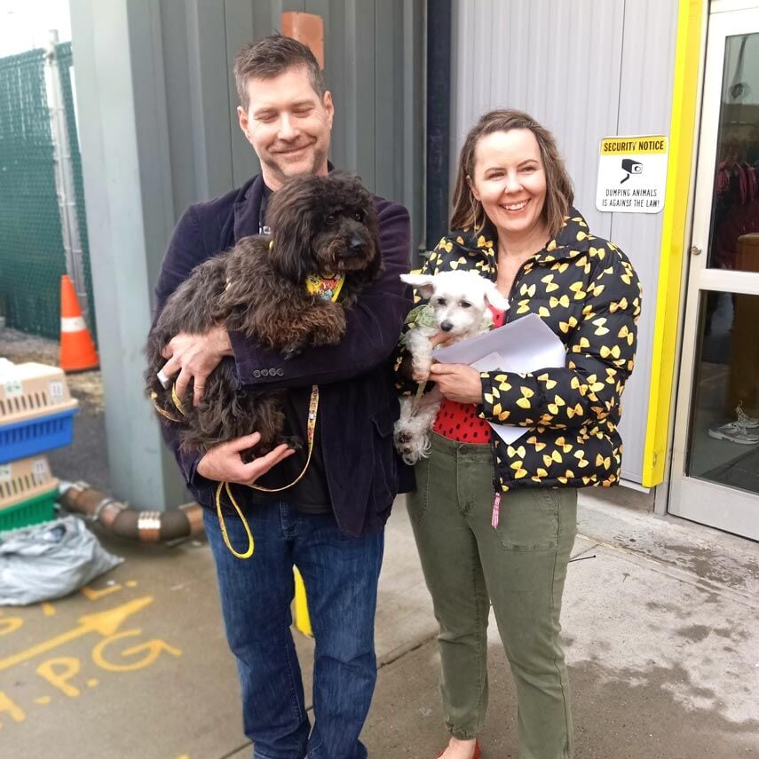 New arrivals to U.S. are top dogs at JFK | | qchron.com