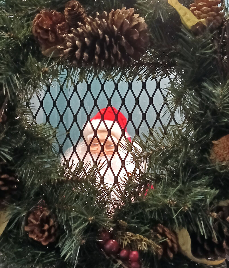 Holiday Photo Contest! | | qchron.com