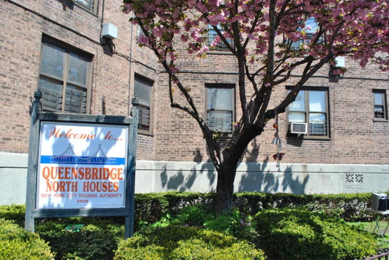 Lovely day for a walk in Queensbridge | | qchron.com