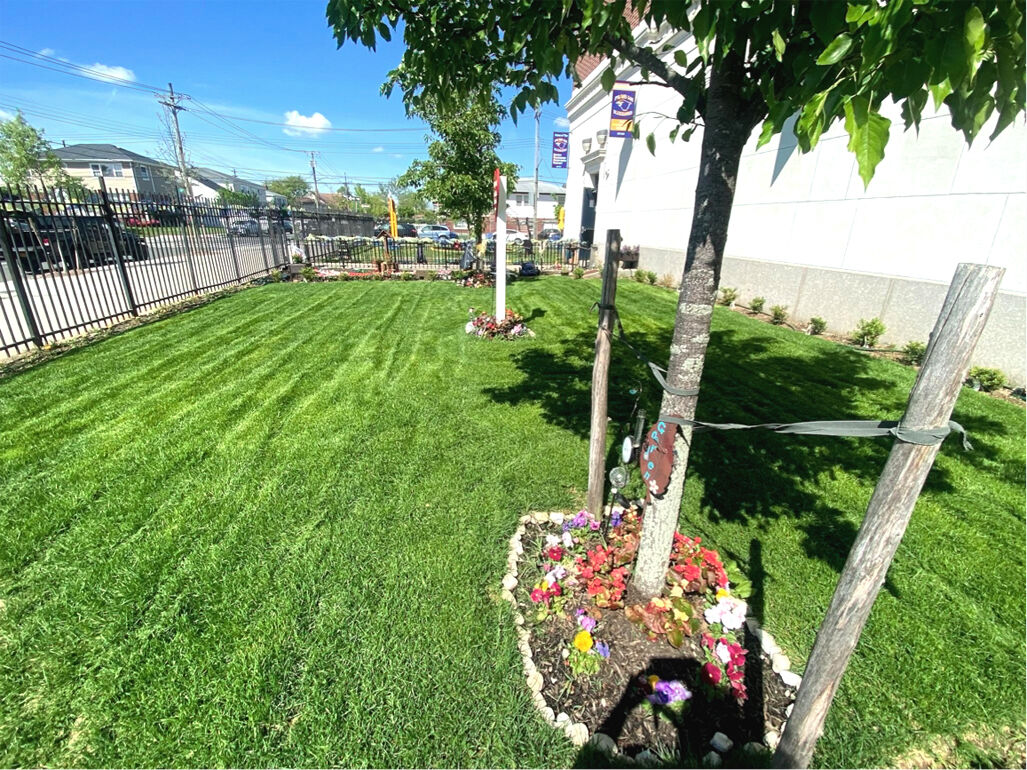 Planting kindness at PS 146 in Howard Beach | | qchron.com