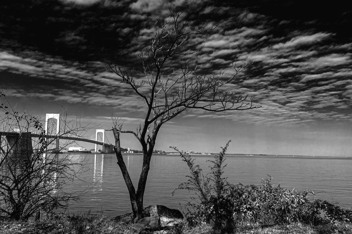 Art is just part of the fun at FM Camera Club | | qchron.com