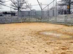 Plans Moving Forward For New Baseball Field At Forest Park | | qchron.com
