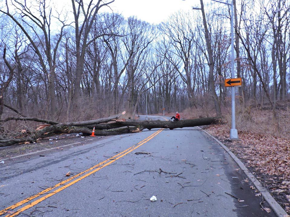 Nor’easter fells trees, leaves damage in KG | | qchron.com