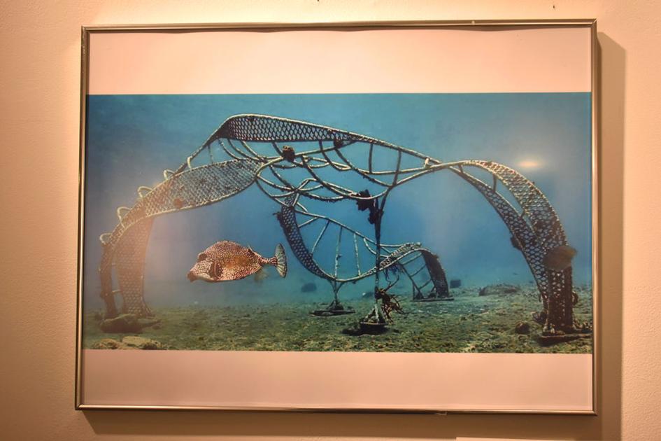 Oceans inspire awe and activism in art | | qchron.com