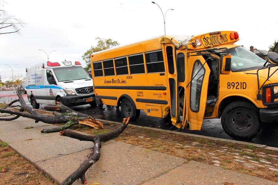 Tree falls onto school bus on Woodhaven | | qchron.com
