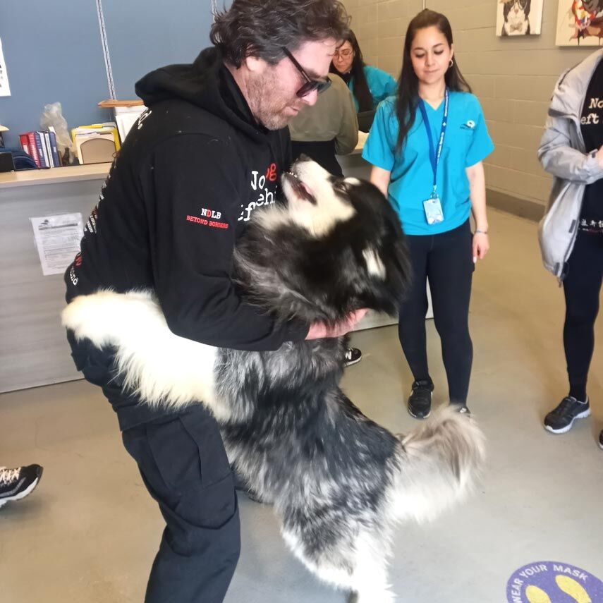 New arrivals to U.S. are top dogs at JFK | | qchron.com