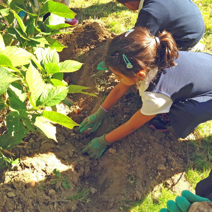 Learning and having fun at PS 97Q in Forest Park | | qchron.com