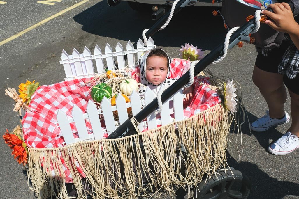Baby Parade returns to Hamilton Beach | | qchron.com