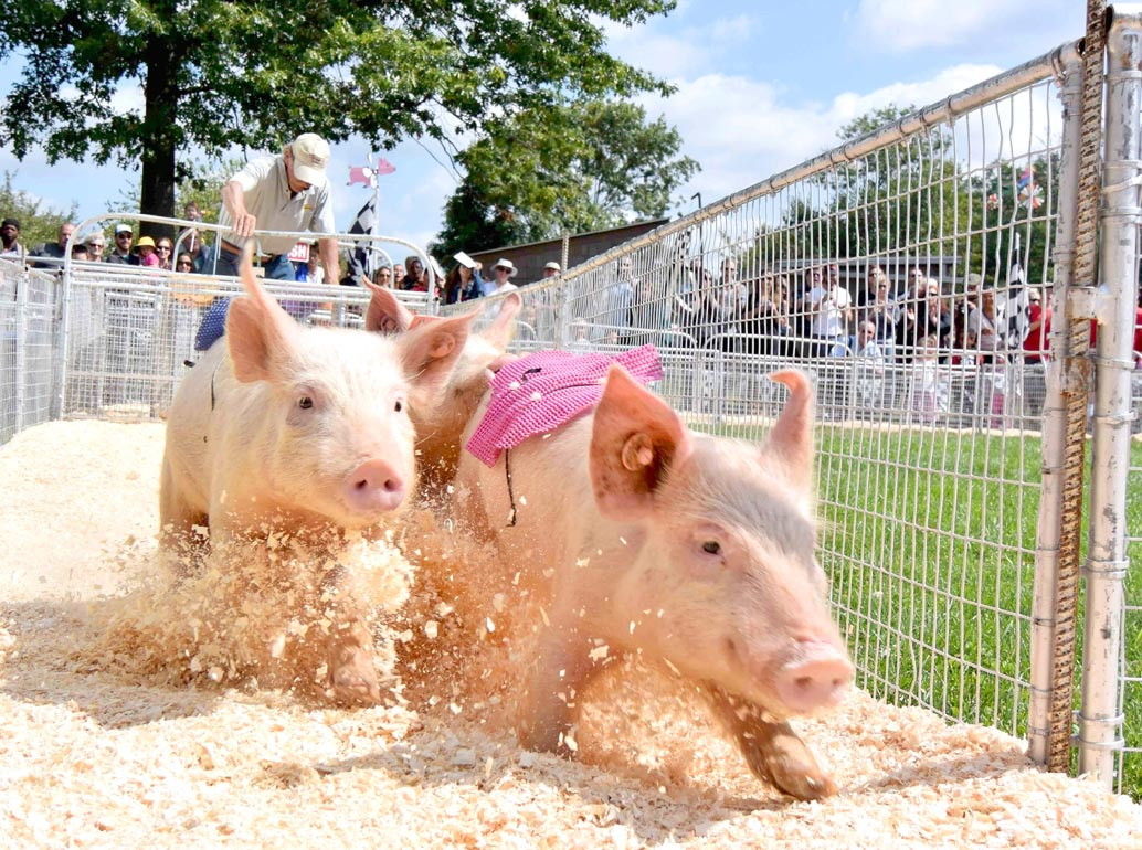 County fair a sure-fire winner at museum | | qchron.com