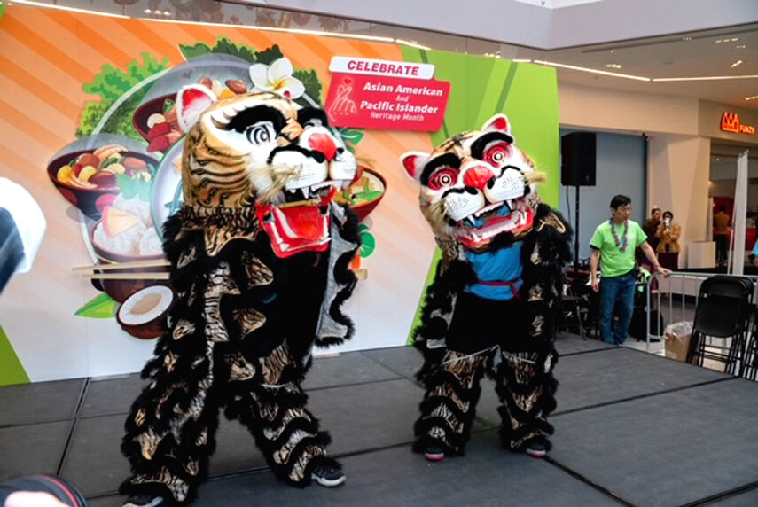 Taste of Asia festival a hit | | qchron.com