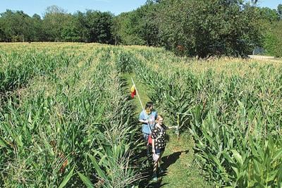 Fall festivities at Queens Farm | | qchron.com