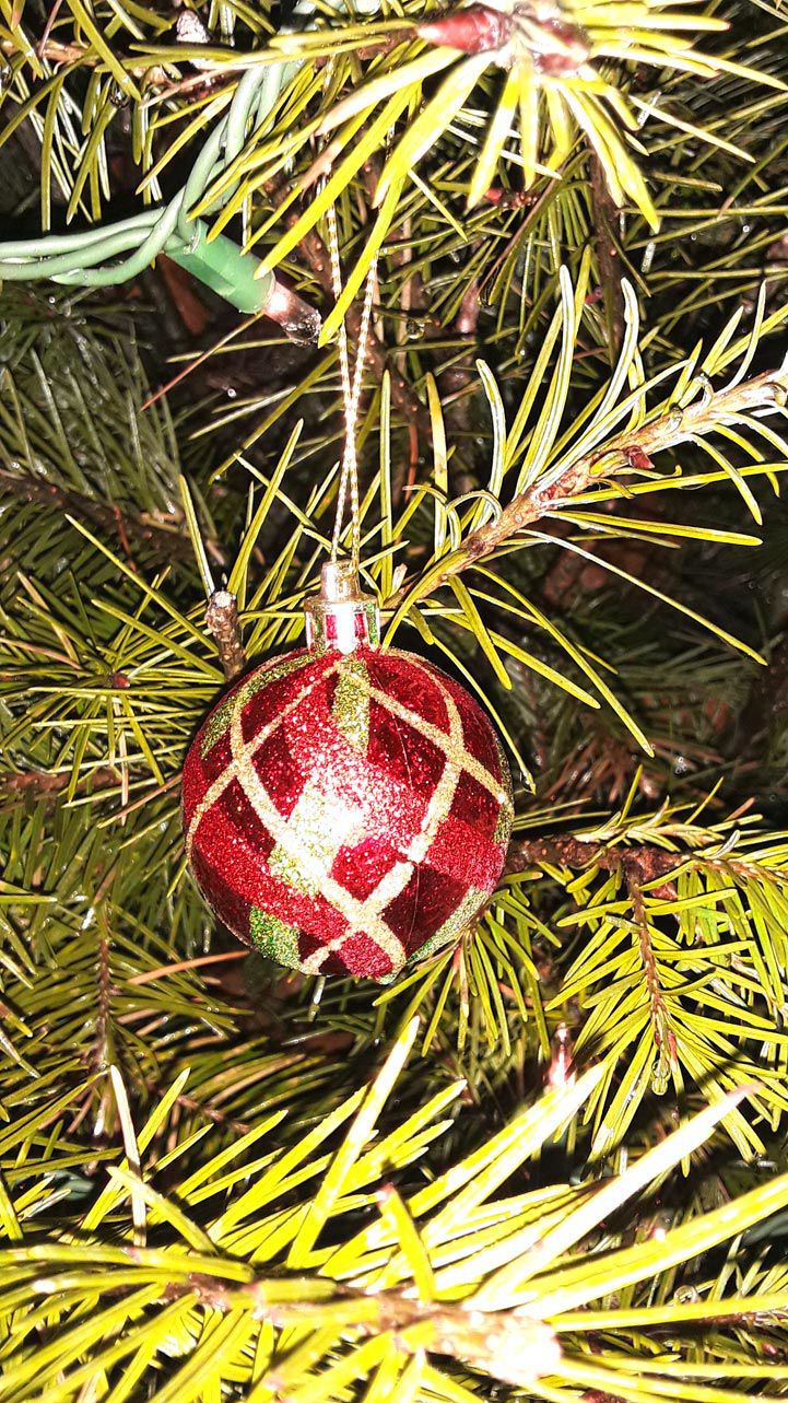 Holiday photo contest! | | qchron.com