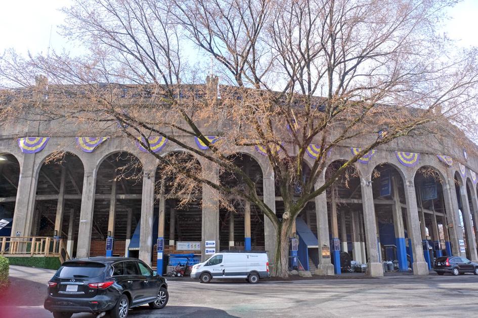 Stadium security plan unclear: FHGC | | qchron.com