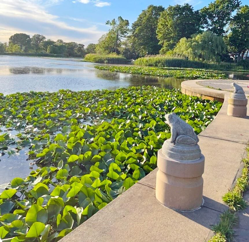 Partying at Baisley Pond leaves it dirty | | qchron.com