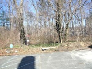 ANIBIC plans housing for disabled seniors | | qchron.com