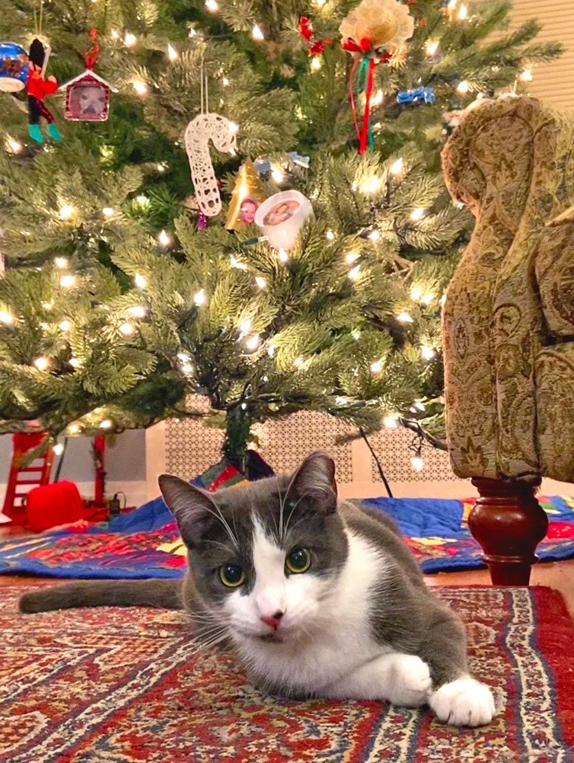 Holiday photo contest! | | qchron.com