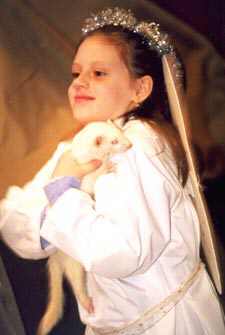 A Little Angel | | qchron.com