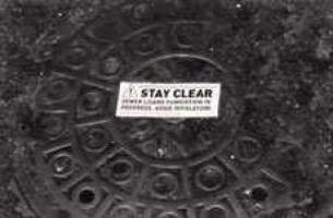 Sewer Lizards Just A Stunt | | qchron.com