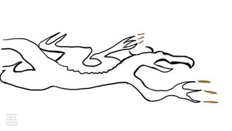 NYPD: Tattoo clues | | qchron.com