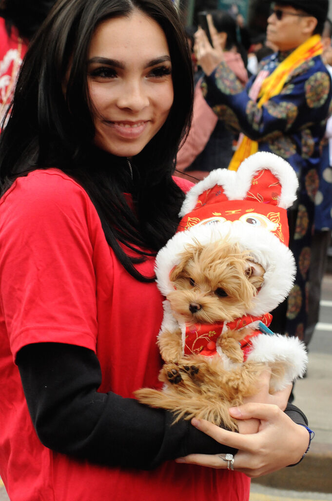 Flushing celebrates Year of the Dragon | | qchron.com