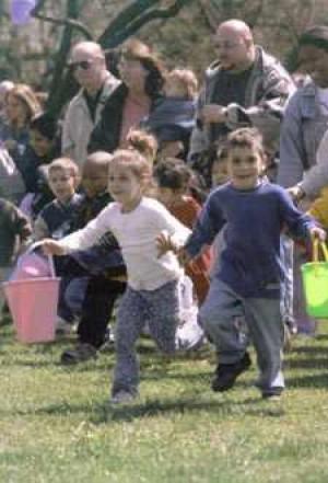 Hopping And Hoping | | qchron.com