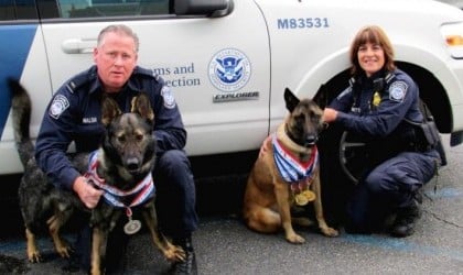 JFK drug dogs win big at competition | | qchron.com