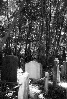 Restoration Of Cemetery In Ozone Park Comes To Fruition | | qchron.com