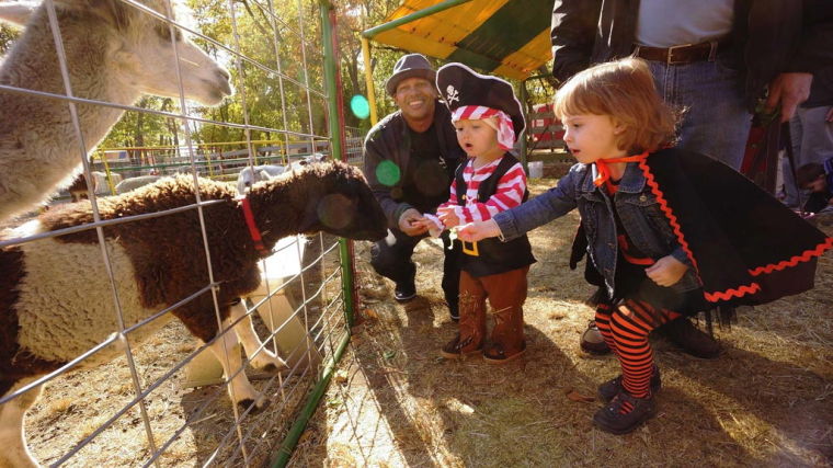 Spooky fun at weekend holiday events | | qchron.com