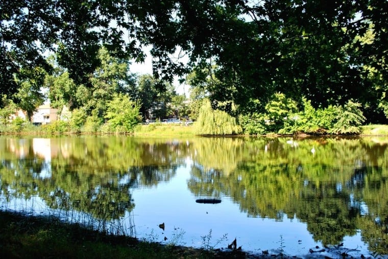 Springfield Gardens Park to be revamped | | qchron.com