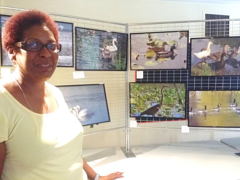 Capturing nature’s sanctuary in Baisley Park | | qchron.com
