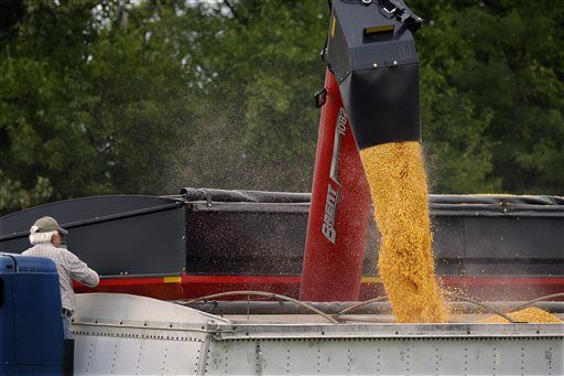 Soggy weather slows Illinois corn harvest