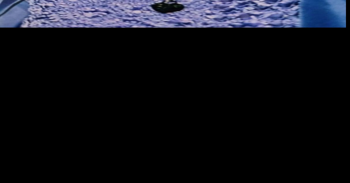 Patsy "Pat" L. Conway