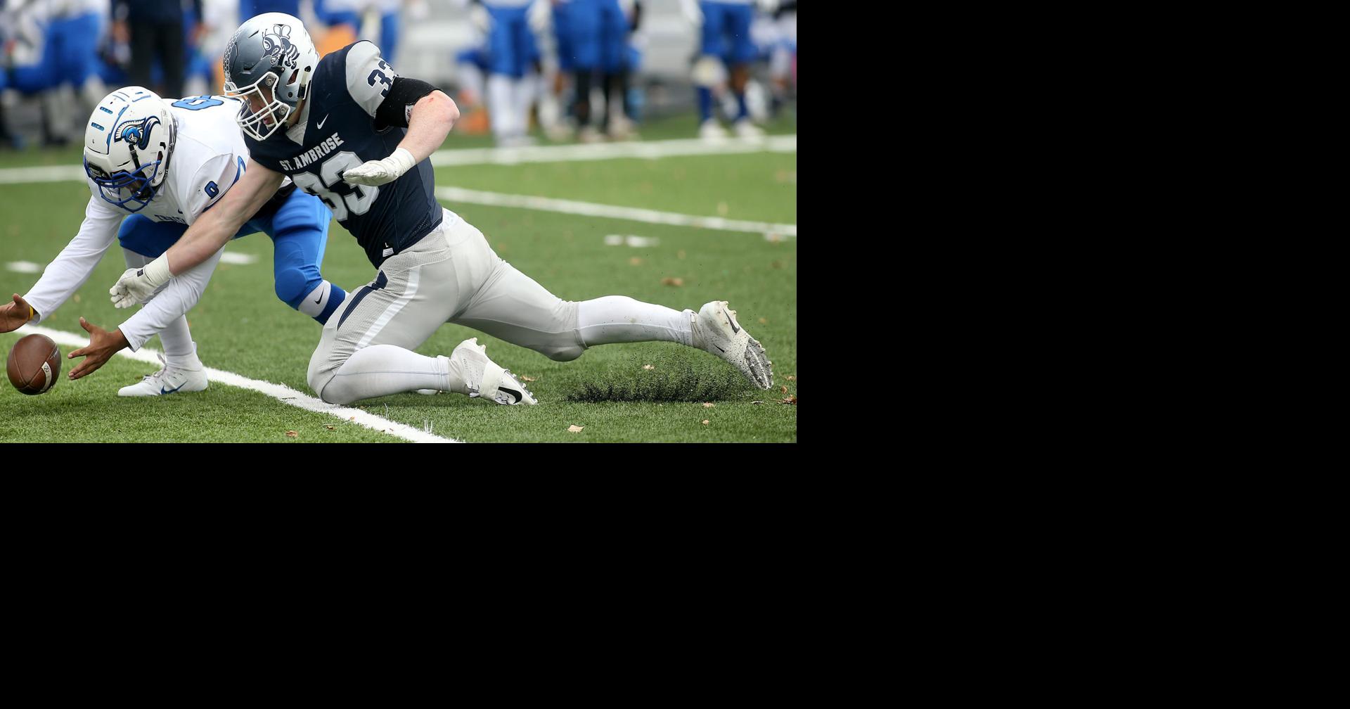 Fighting Bees 'built' for unique season