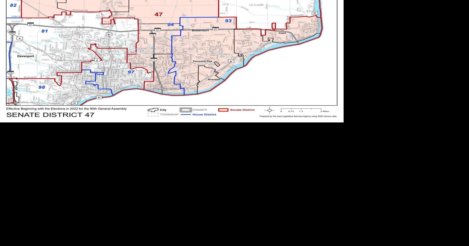 Meet the candidates for Senate District 47: Mary Kathleen Figaro and ...