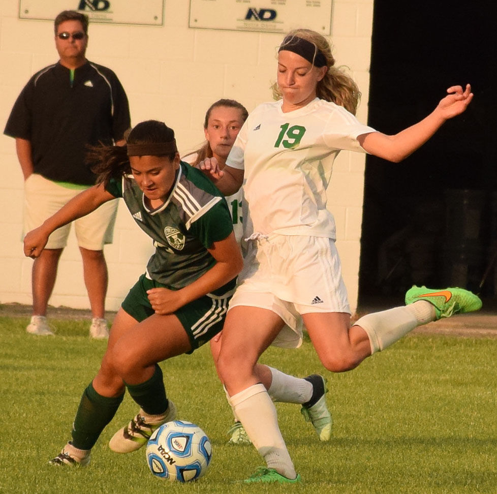 2017 Illinois girls soccer capsules